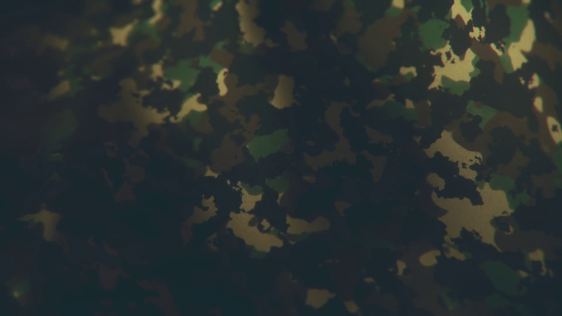 Animation On Military Camouflage Fabric Stock Motion Graphics SBV-348364573 - Storyblocks