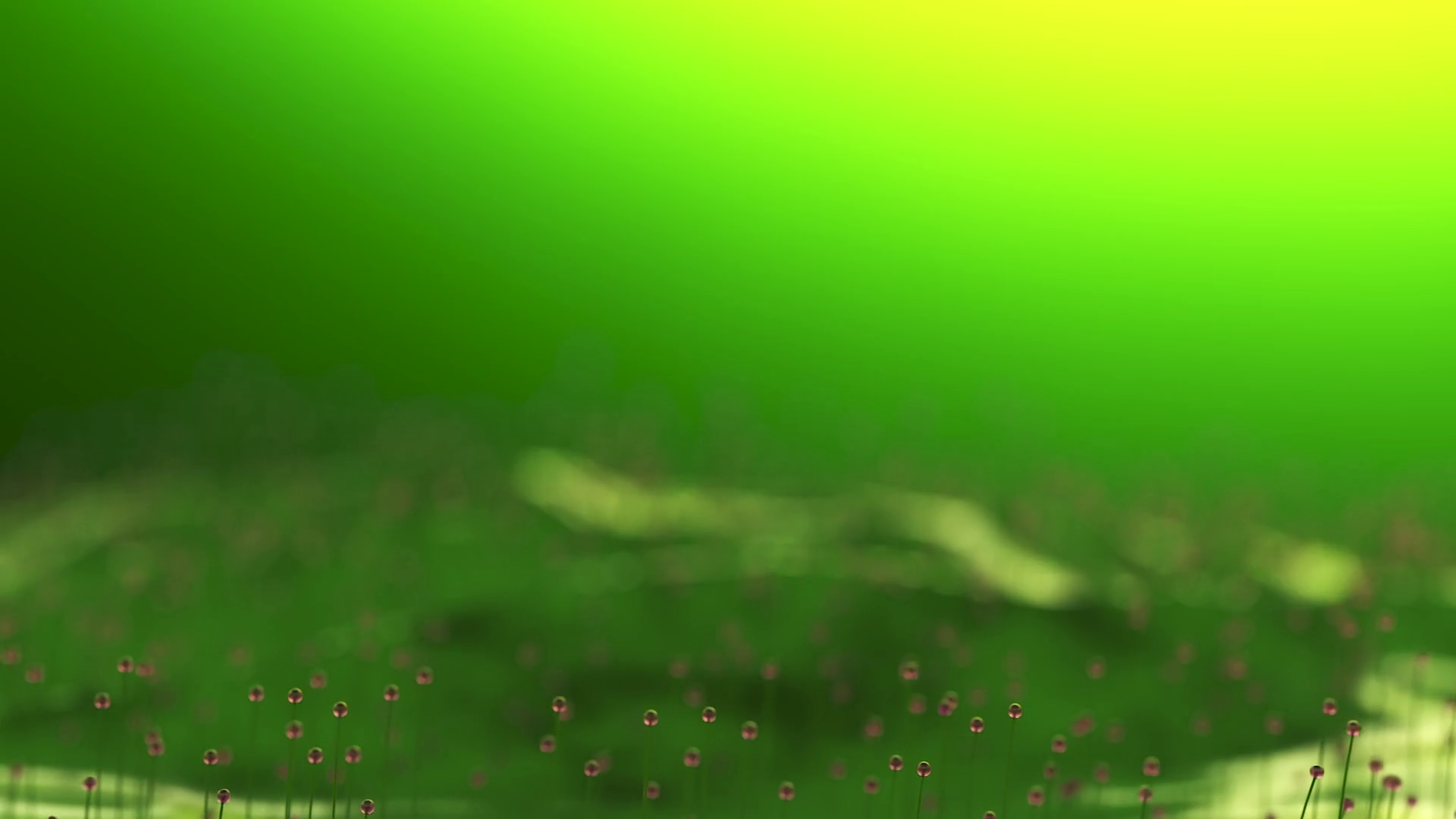 3d Rendering Colorful Particle Line Like Stock Motion Graphics SBV ...