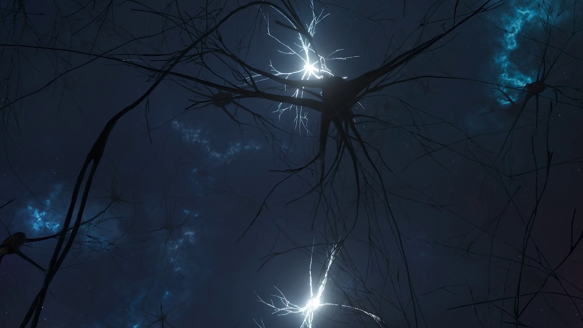 Animation Of Activity Of Neurons Synapses Stock Motion Graphics SBV ...