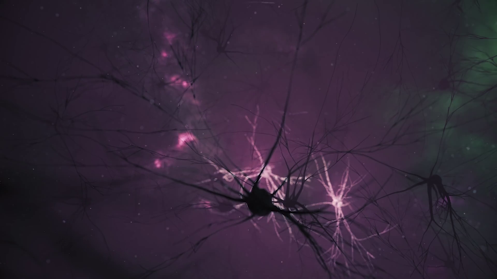 Animation Of Activity Of Neurons Synapses Stock Motion Graphics SBV ...