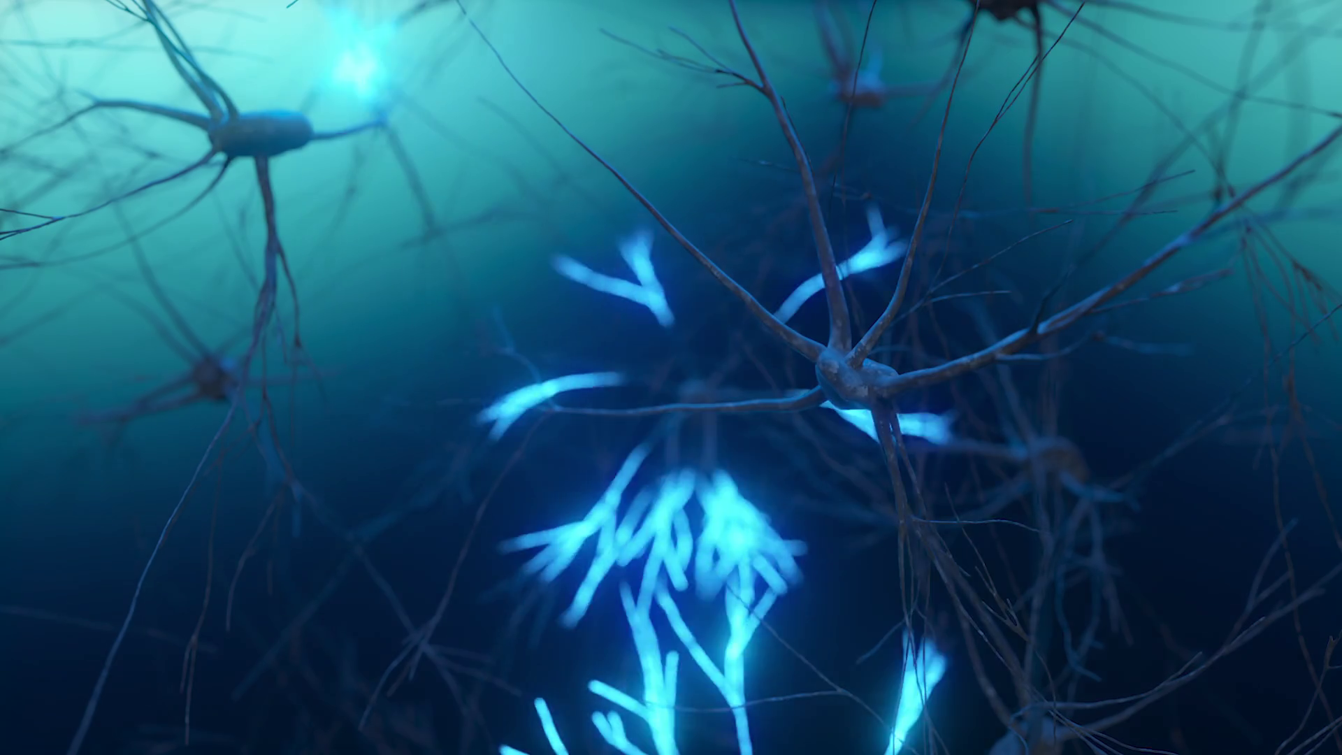 Animation Of Activity Of Neurons Synapses Stock Motion Graphics SBV ...