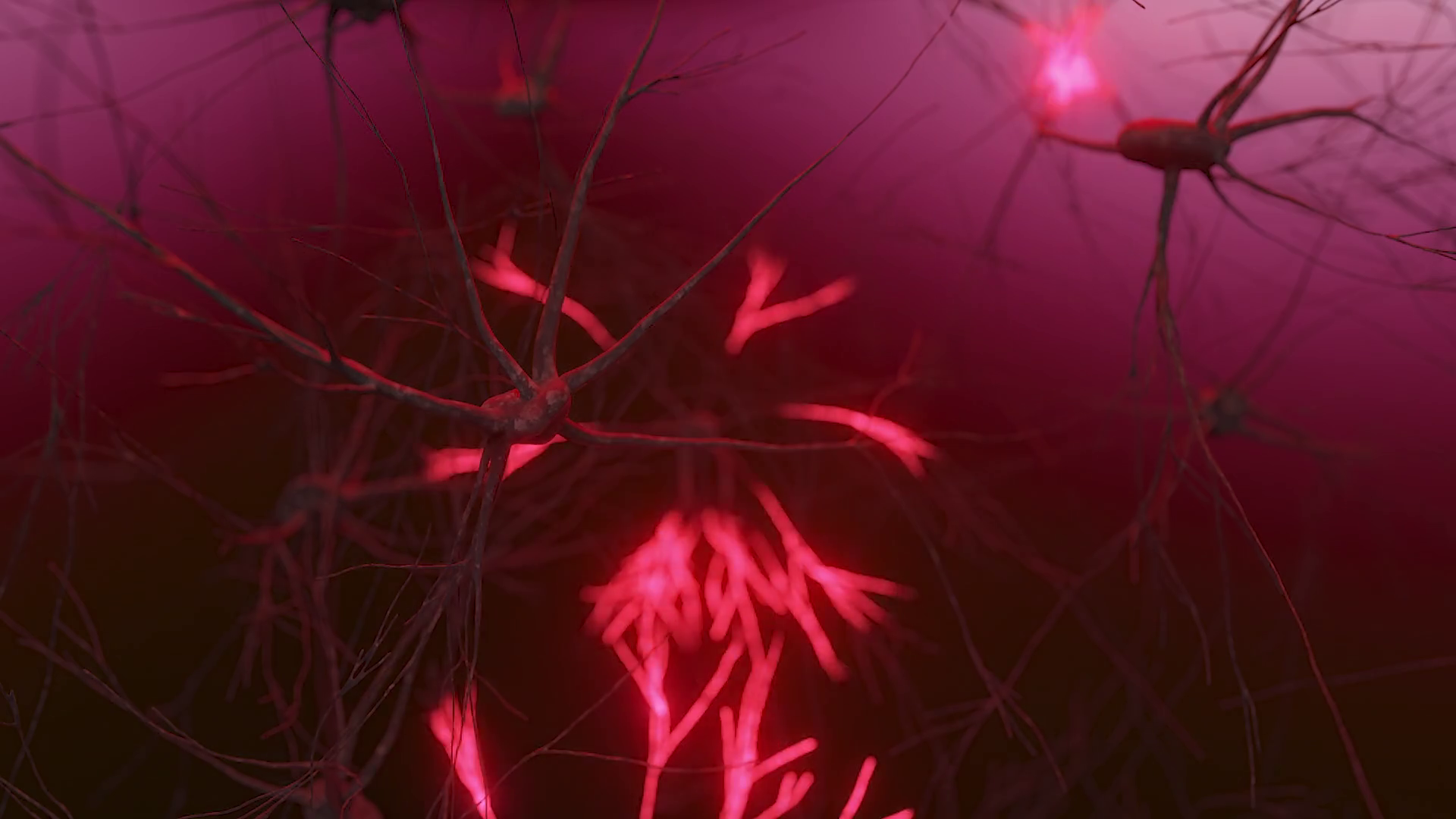 Animation Of Activity Of Neurons Synapses Stock Motion Graphics SBV ...