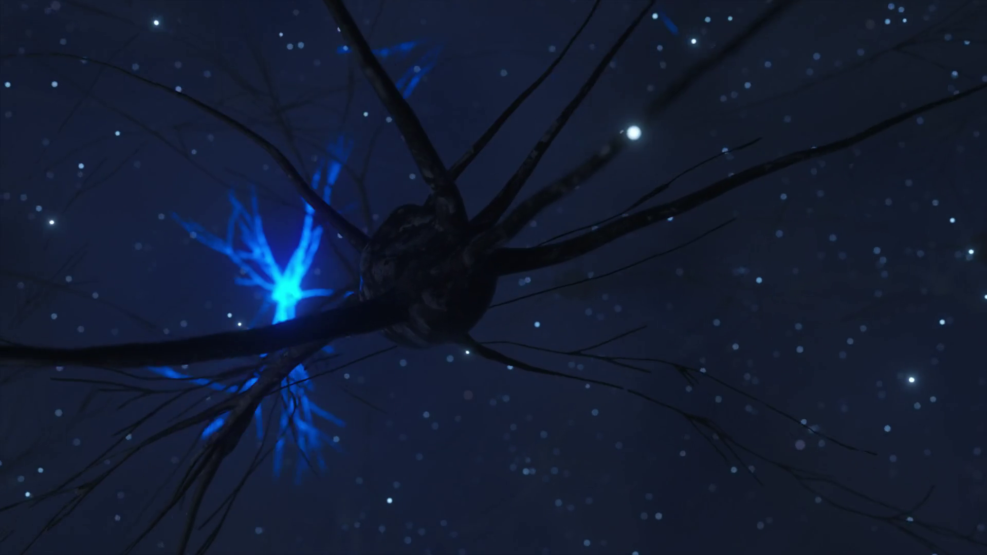Animation Of Activity Of Neurons Synapses Stock Motion Graphics SBV ...