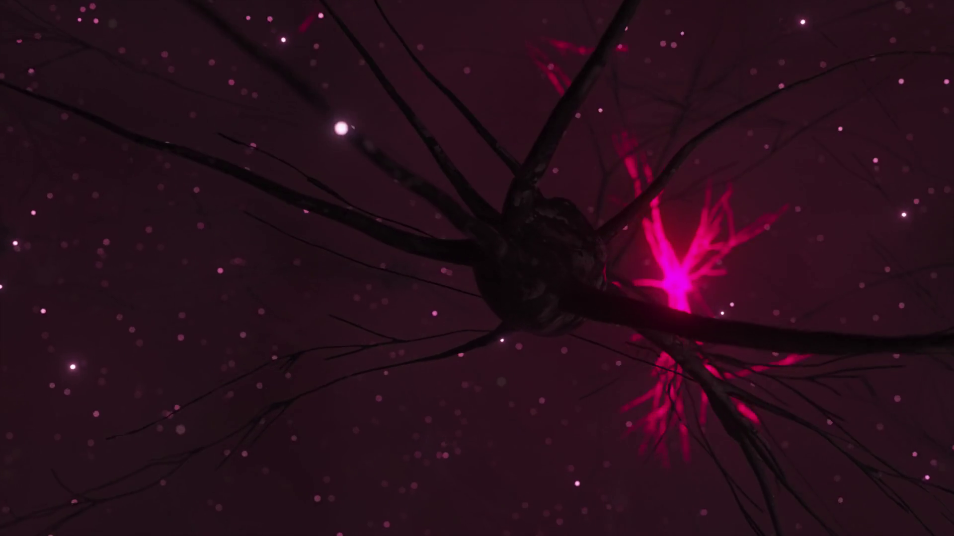 Animation Of Activity Of Neurons Synapses Stock Motion Graphics SBV ...