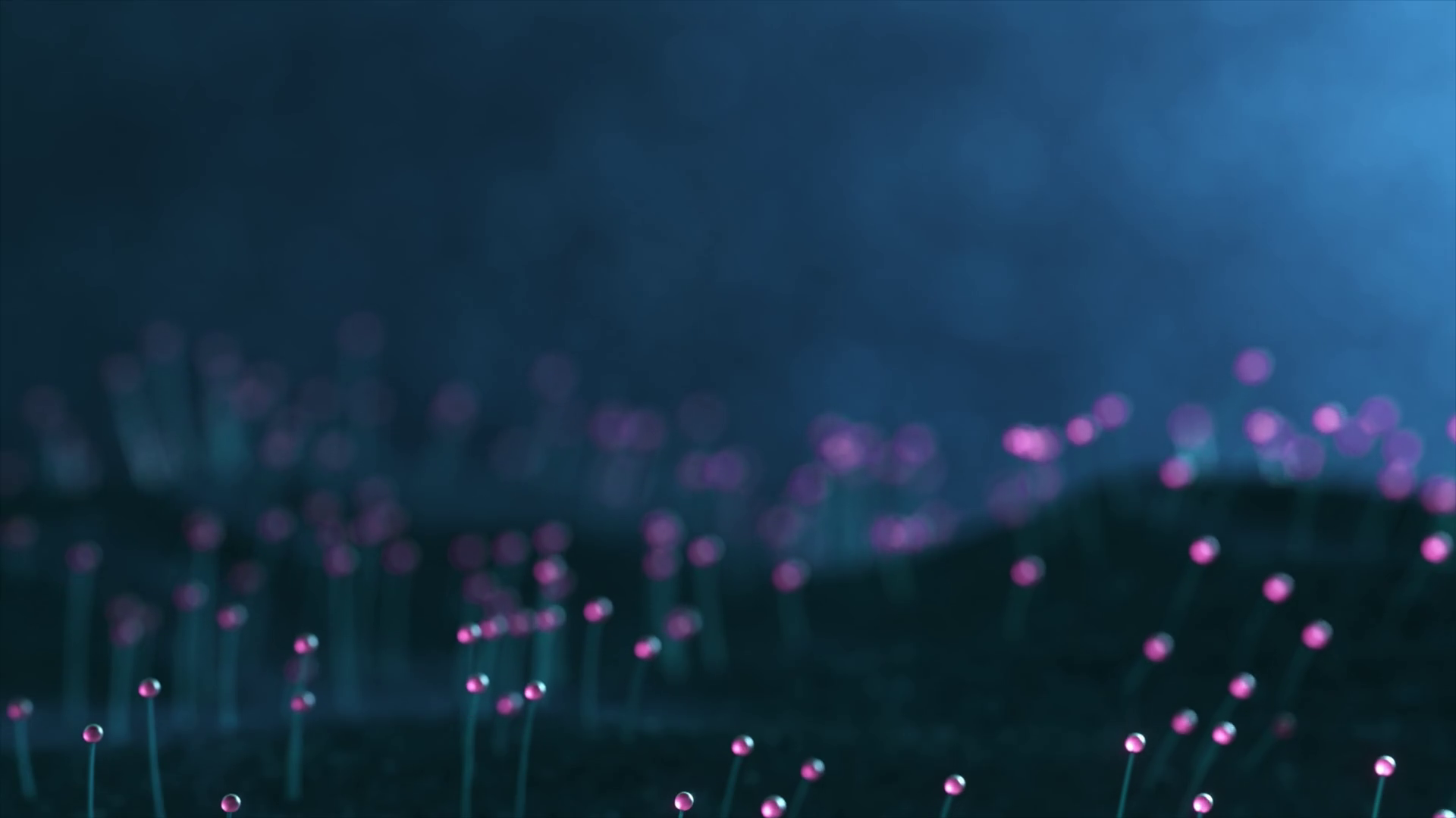 3d Rendering Colorful Particle Line Like Stock Motion Graphics SBV ...