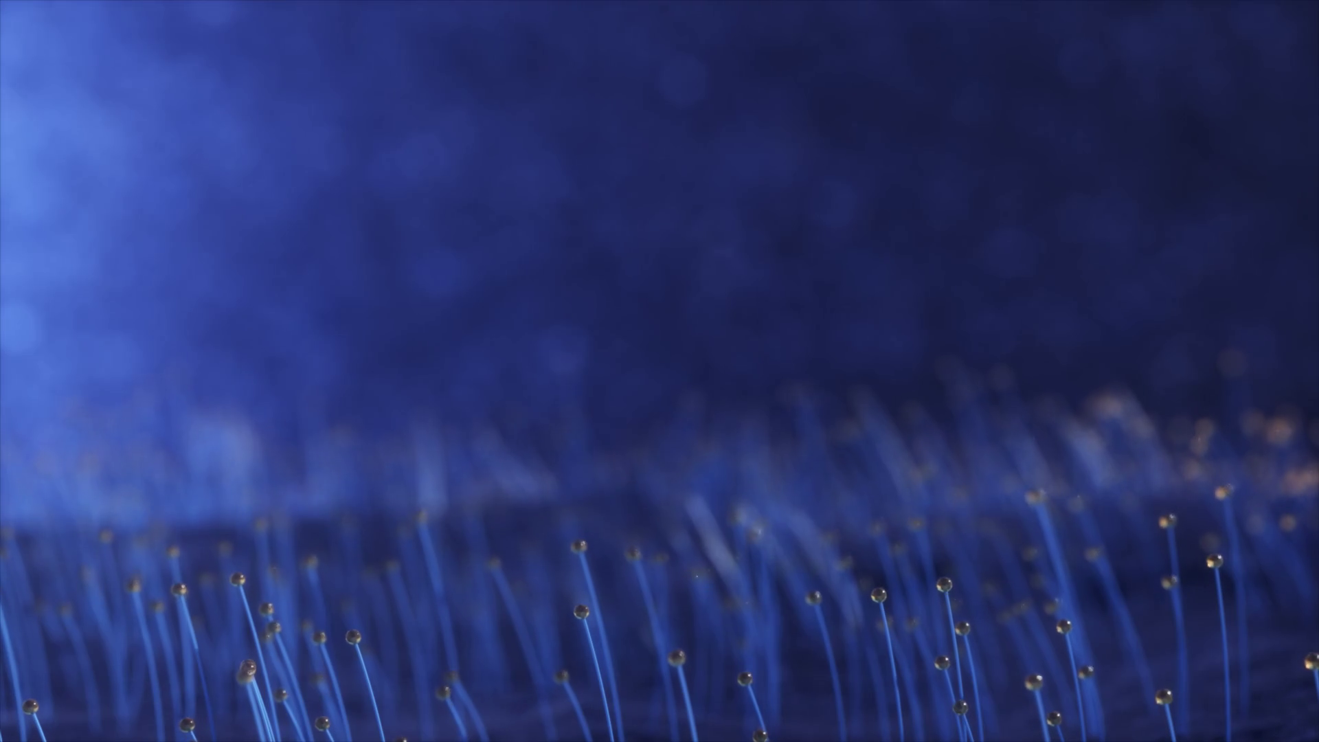 3d Rendering Colorful Particle Line Like Stock Motion Graphics SBV ...