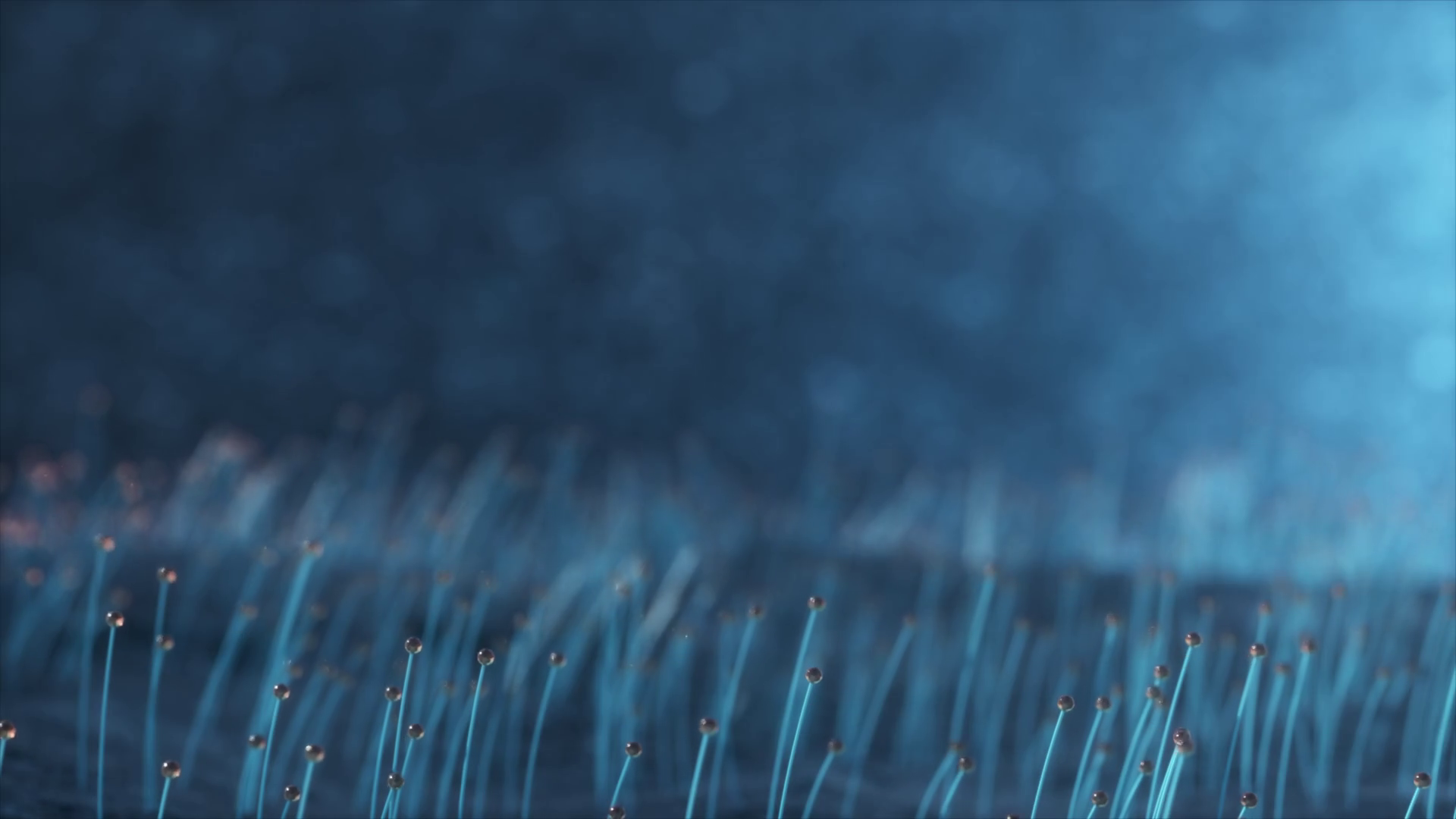 3d Rendering Colorful Particle Line Like Stock Motion Graphics SBV ...