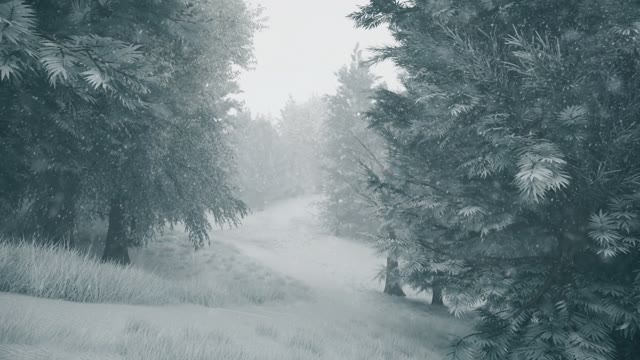 Snow Trees | Effects and Overlays motion backgrounds - Storyblocks