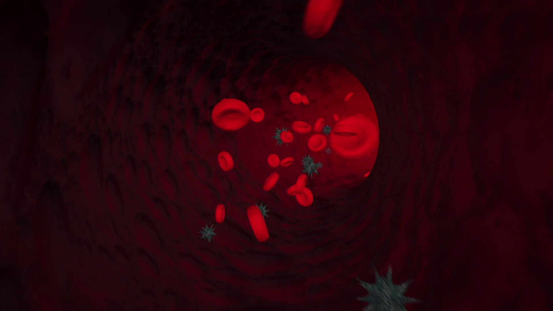 Movement Of Viruses Blood Cells Stock Motion Graphics SBV-348408604 - Storyblocks