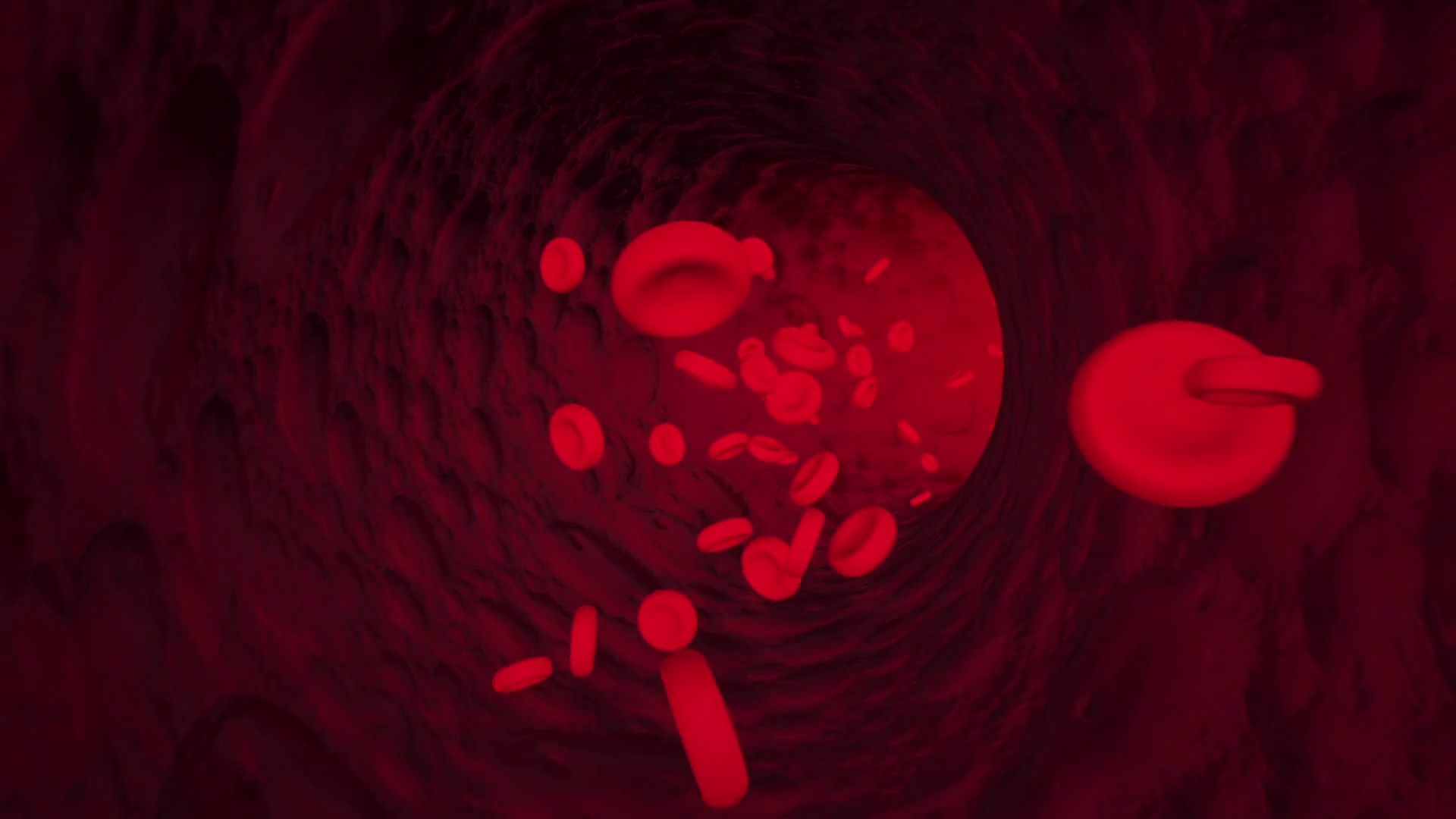 Blood Cells Traveling Through Vein Stock Motion Graphics SBV-348408603 ...