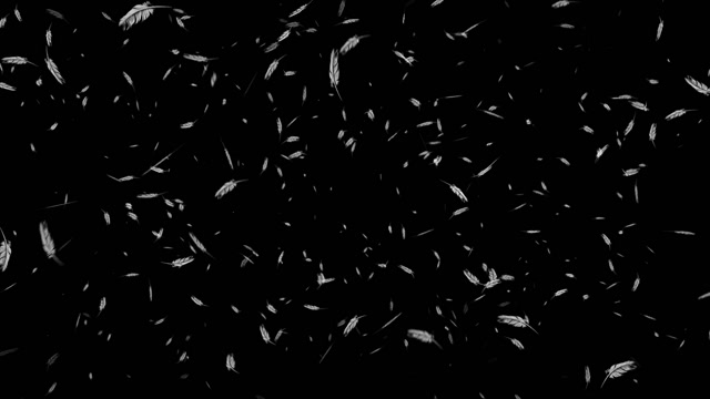 Particles Overlay | Effects and Overlays motion backgrounds - Storyblocks