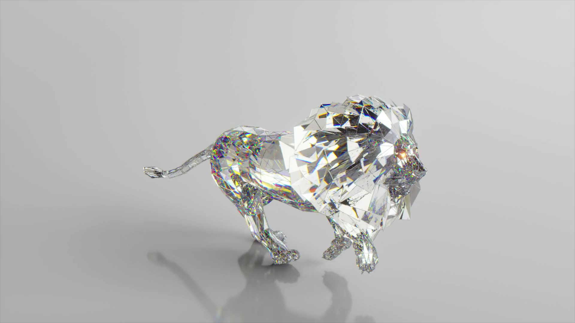 Running Diamond Lion Concept Of Nature Stock Motion Graphics SBV ...
