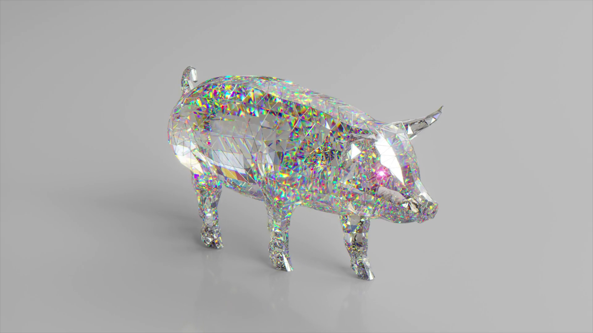 Walking Diamond Pig Concept Of Nature Stock Motion Graphics SBV ...