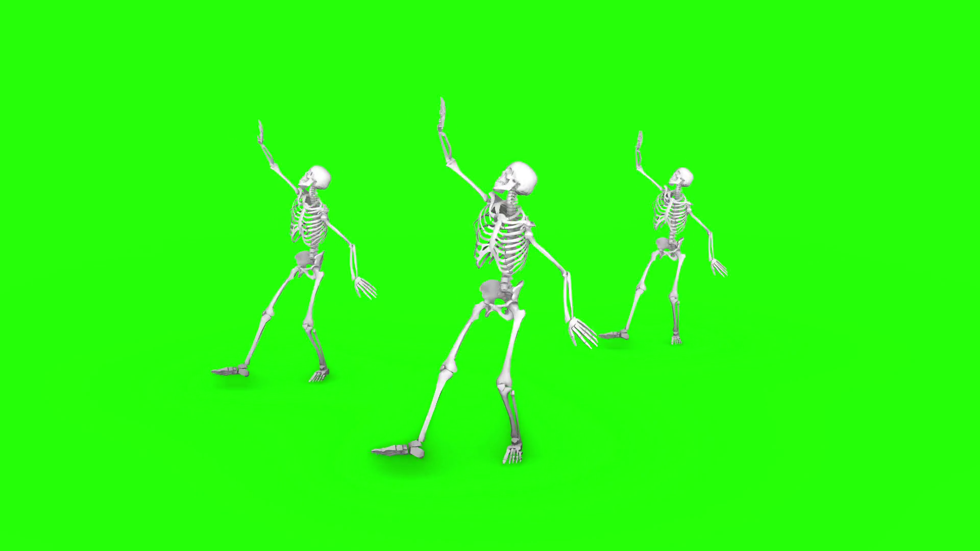 Three Dancing Skeletons On Isolated Green Stock Motion Graphics SBV-348390407 - Storyblocks