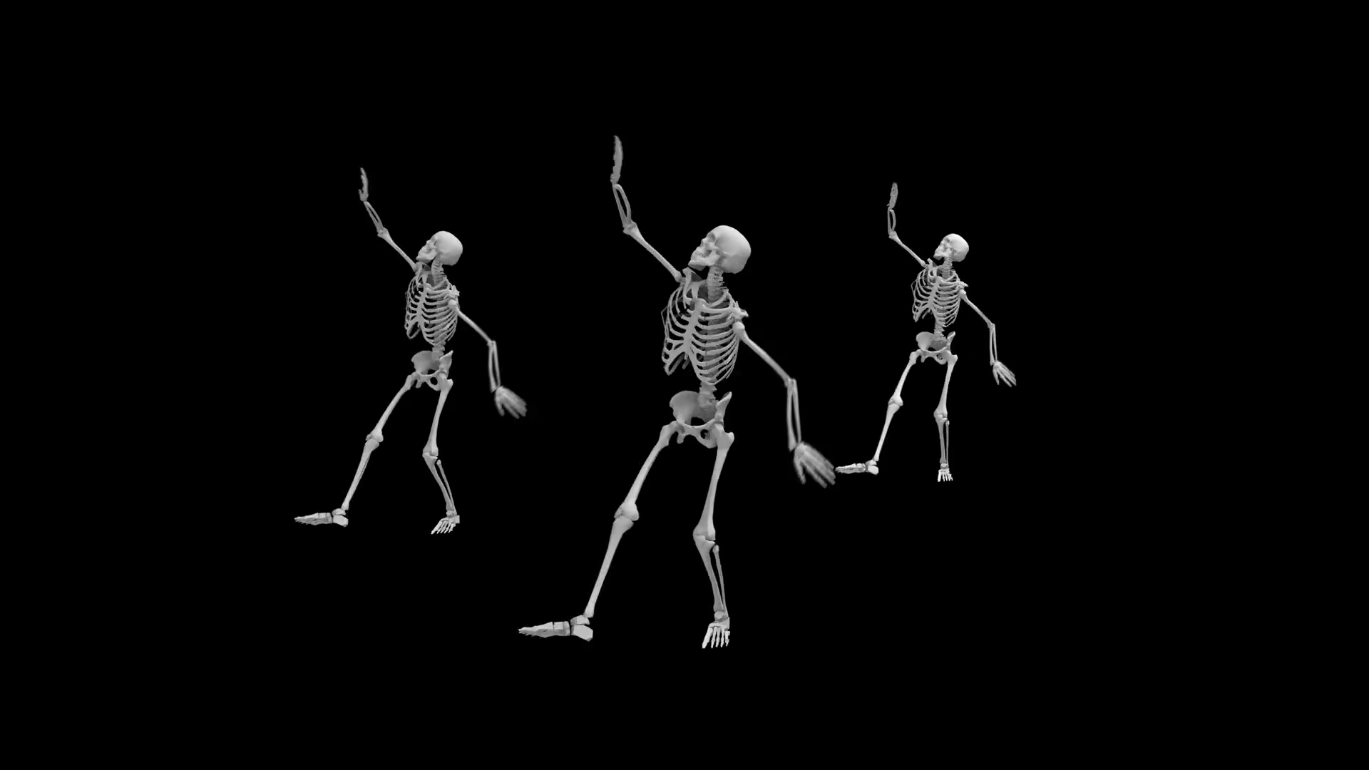 Three Dancing Skeletons On Isolated Black Stock Motion Graphics SBV-348390415 - Storyblocks