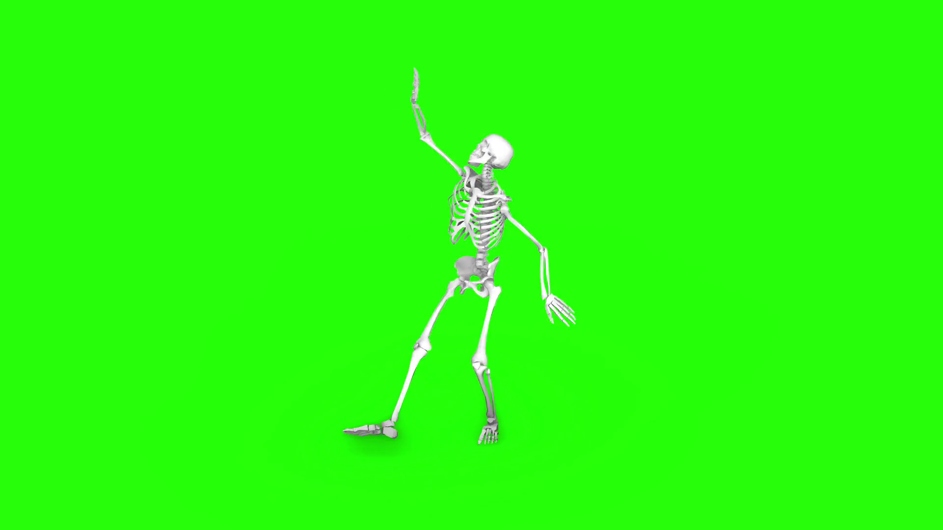 Skeleton Dancing On Isolated Green Stock Motion Graphics SBV-348390418 ...