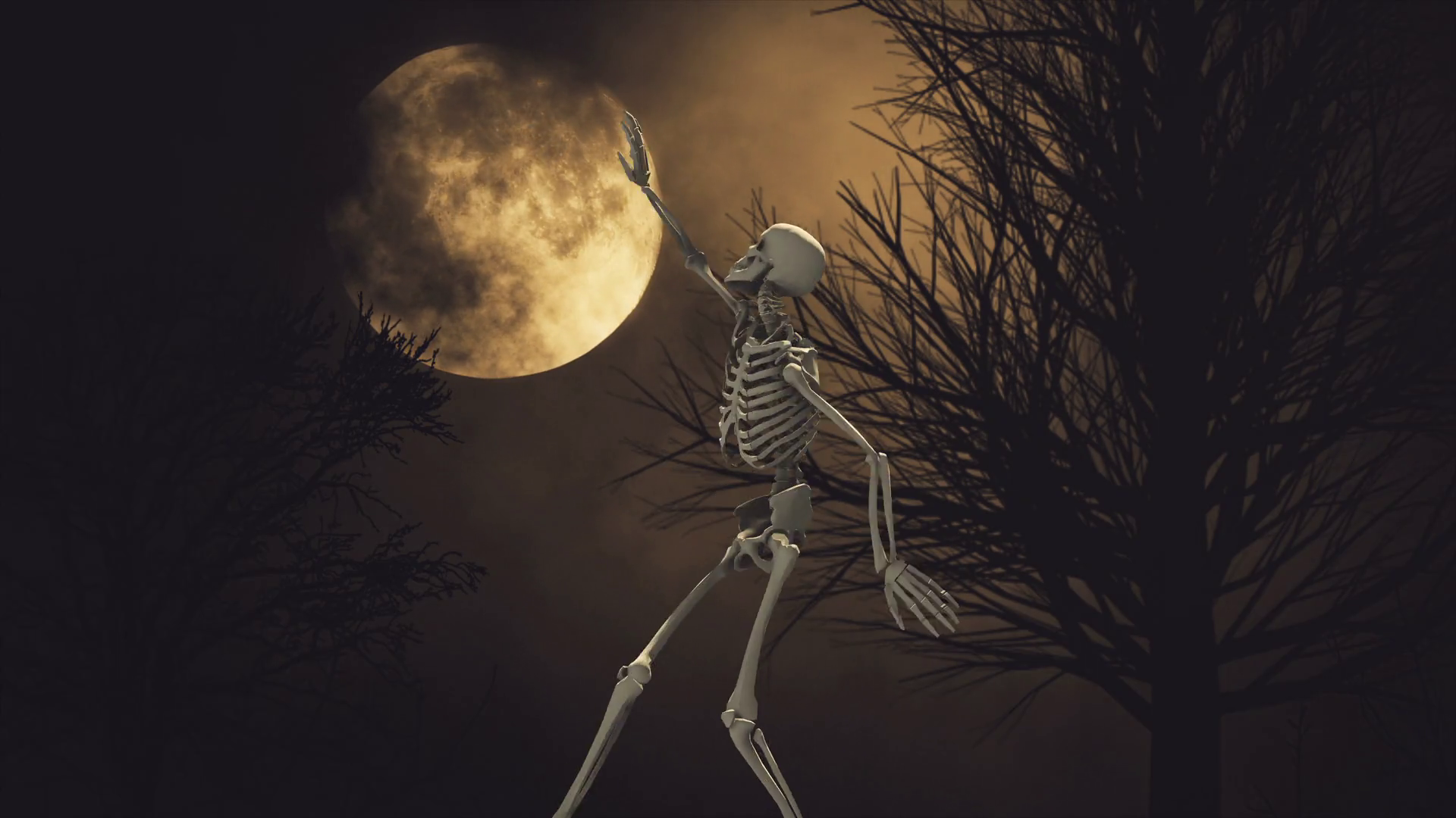 Dancing Skeleton On Background Of Night Sky Stock Motion Graphics SBV ...