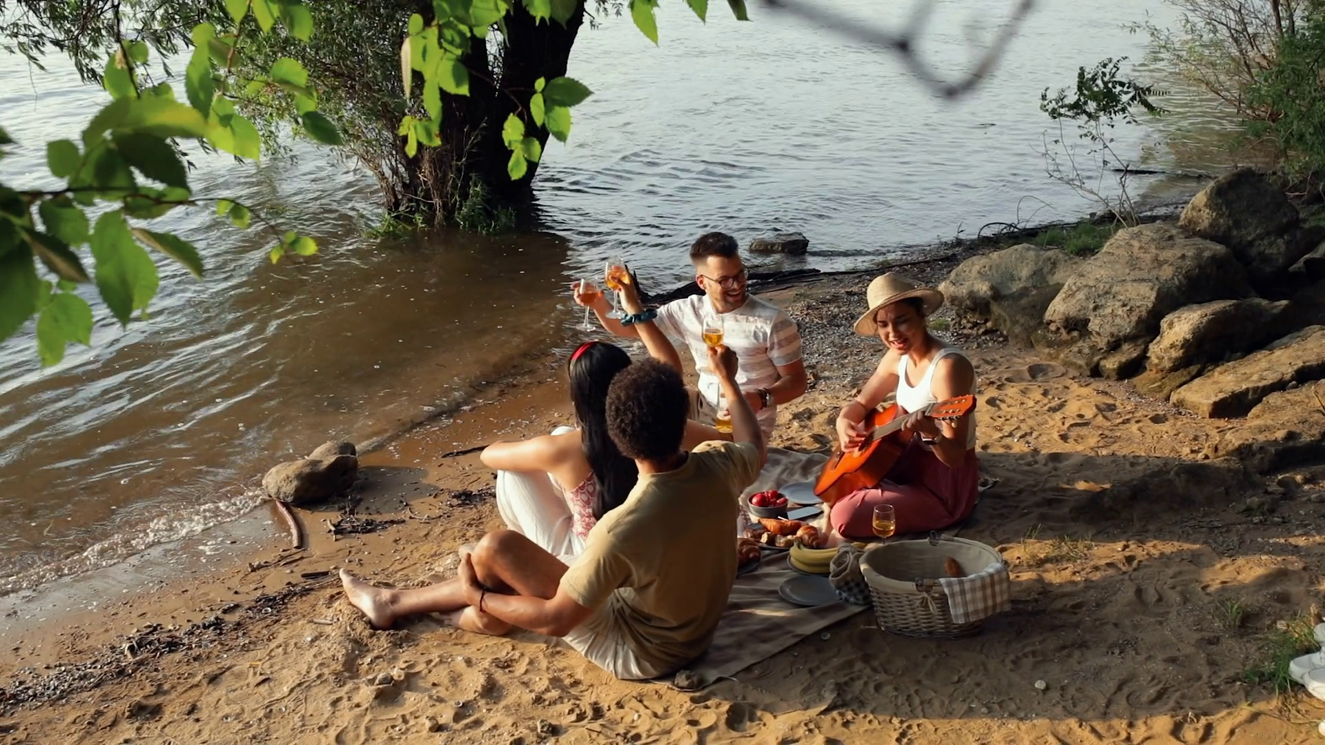 Diverse Group Of Friends Enjoying Picnic Stock Footage SBV-351973261 ...