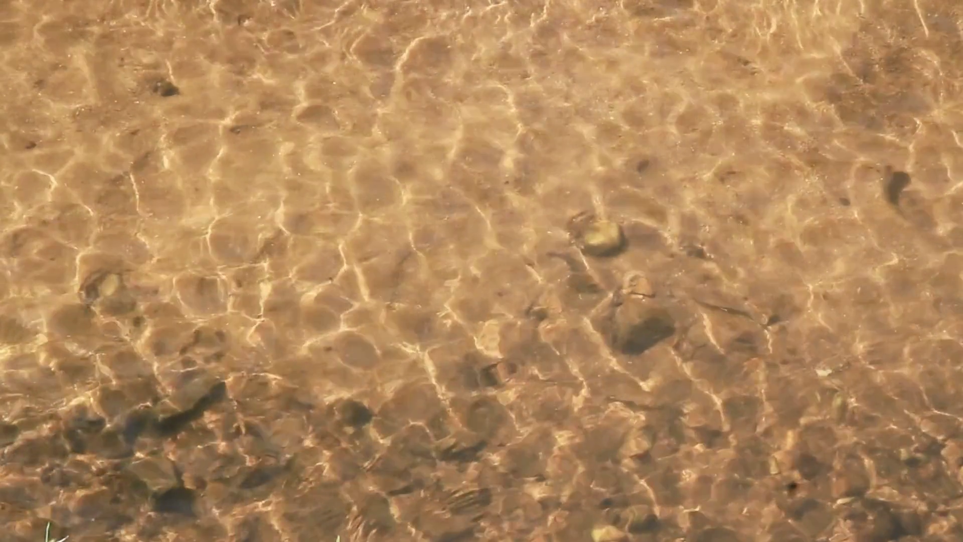 Sunlight Reflecting On Shallow Water Stock Footage SBV-353124146 ...