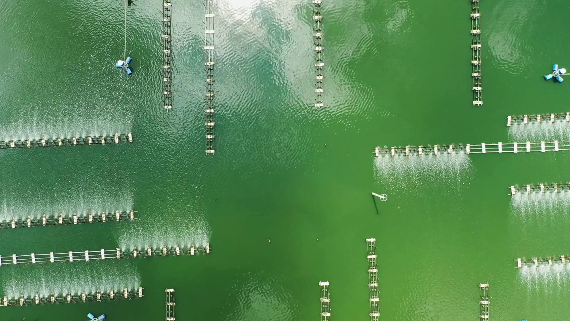 Aerial View Of Aquaculture Farm With Stock Footage SBV-353473405 ...