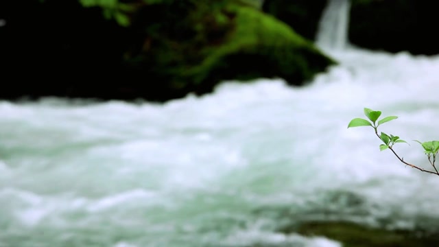 Water Flow Human Body Stock Footage: Royalty-Free Video Clips - Storyblocks