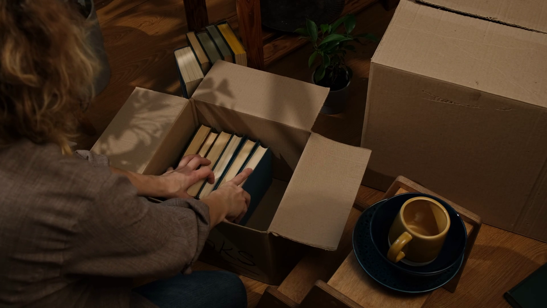 Preparing Move Woman Packs Books Into Moving Stock Footage SBV ...