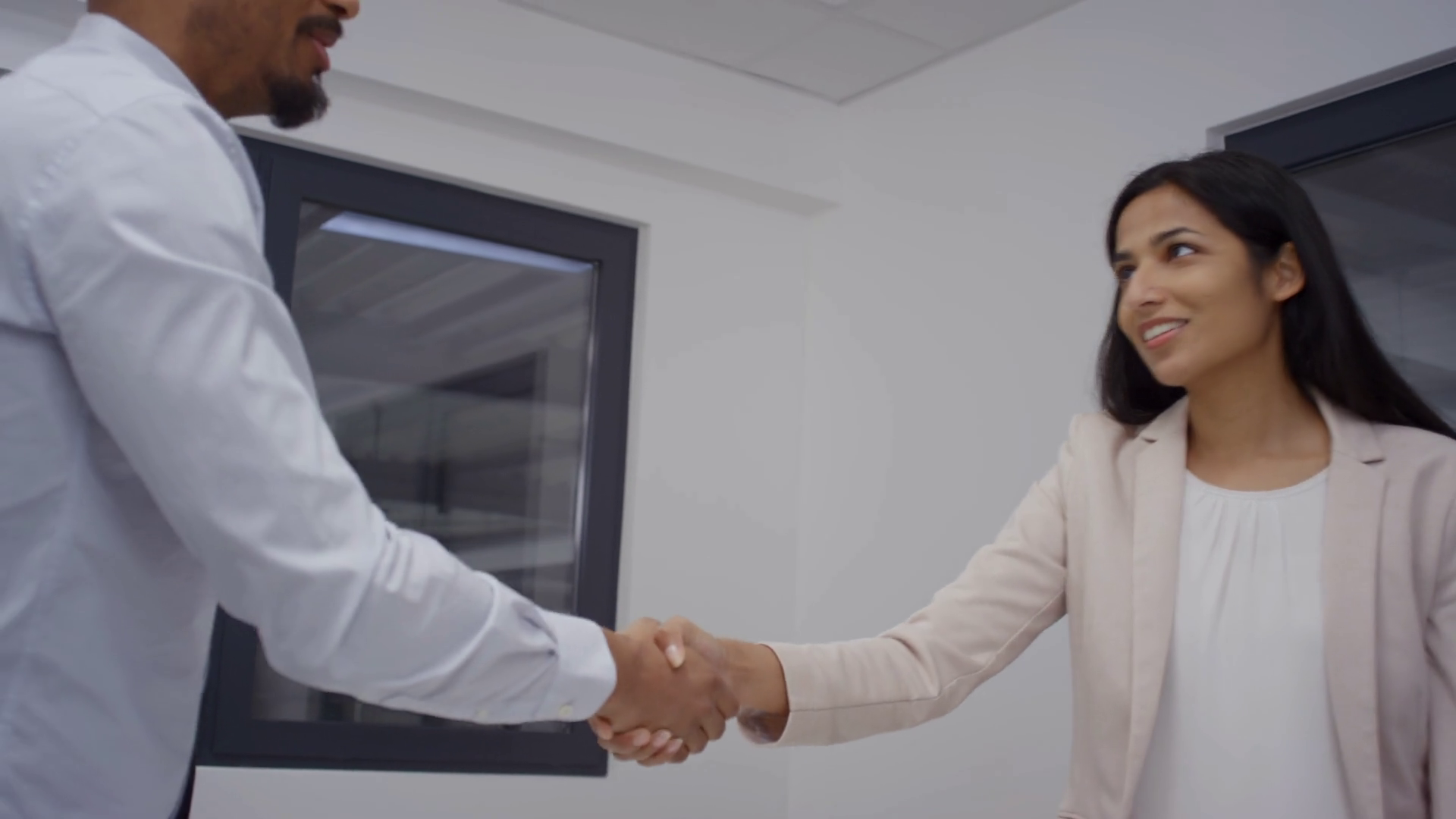 Indian Woman Prosperous Company Manager Stock Footage SBV-352073644 ...