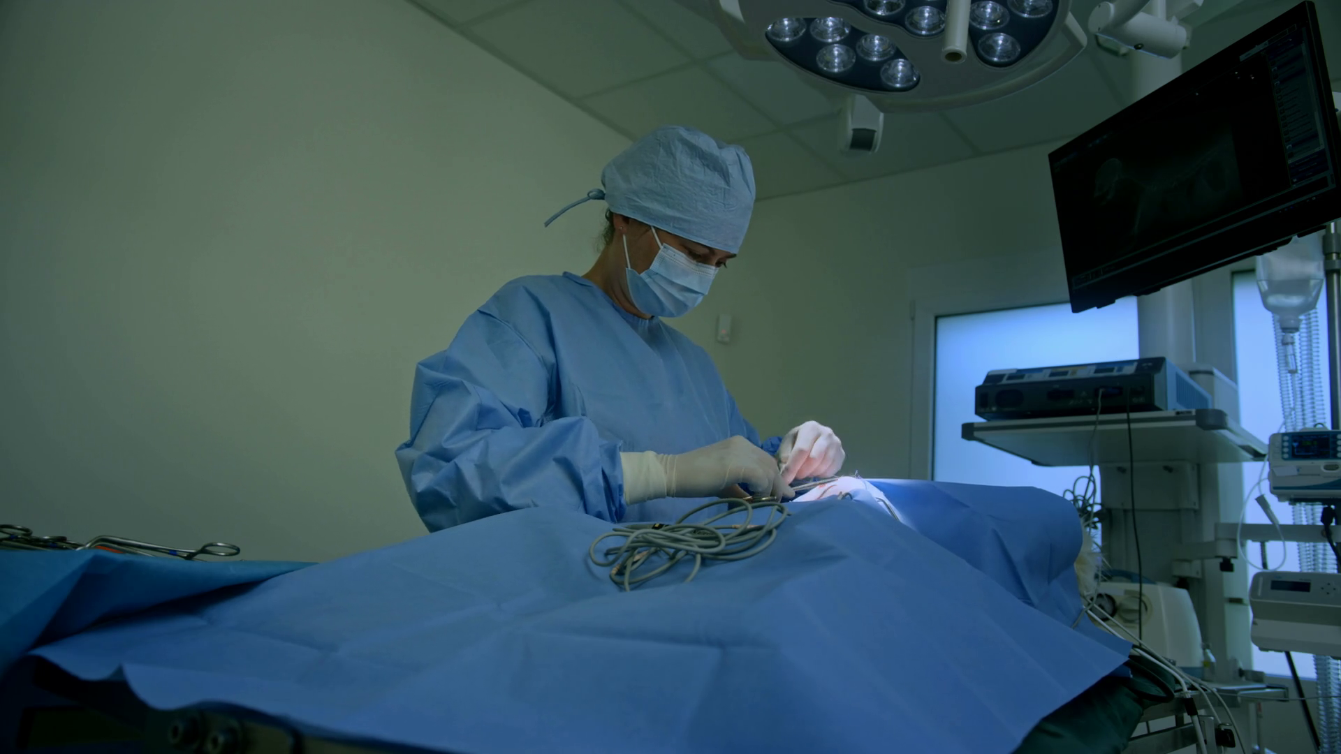 Female Veterinary Surgeon Suturing Wound Dog Stock Footage SBV ...