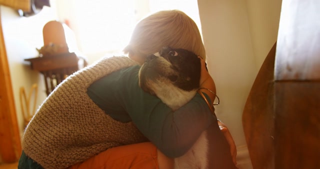 Sad Dog Owner Stock Footage: Royalty-Free Video Clips - Storyblocks