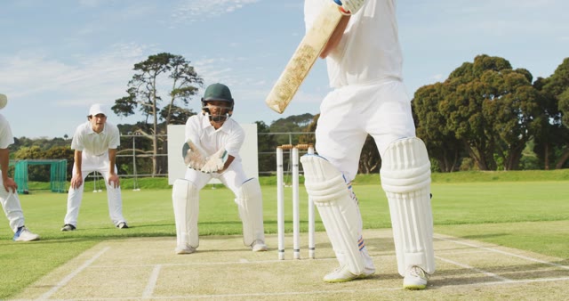 Cricket Stock Footage: Royalty-Free Video Clips - Storyblocks