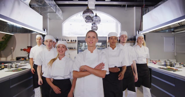 Commercial Kitchen Chefs Stock Footage: Royalty-Free Video Clips ...