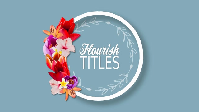 Bloom Templates Royalty-Free - Storyblocks