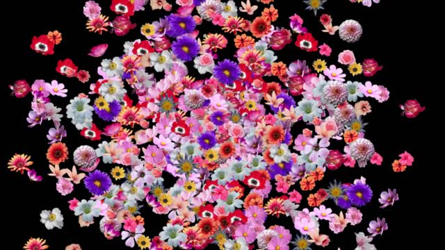 Royalty-Free Templates - Storyblocks