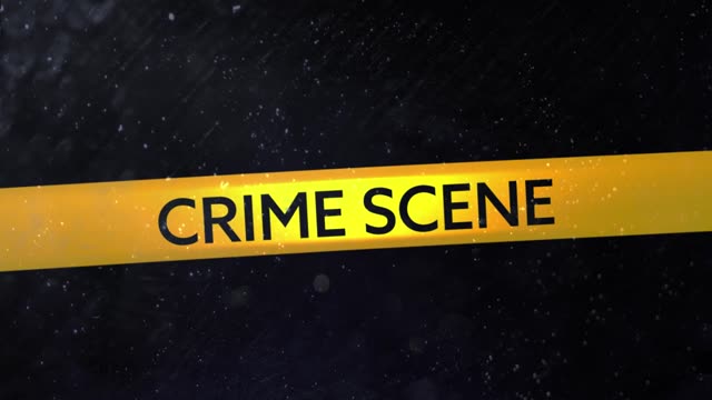 Police Templates Royalty-Free - Storyblocks