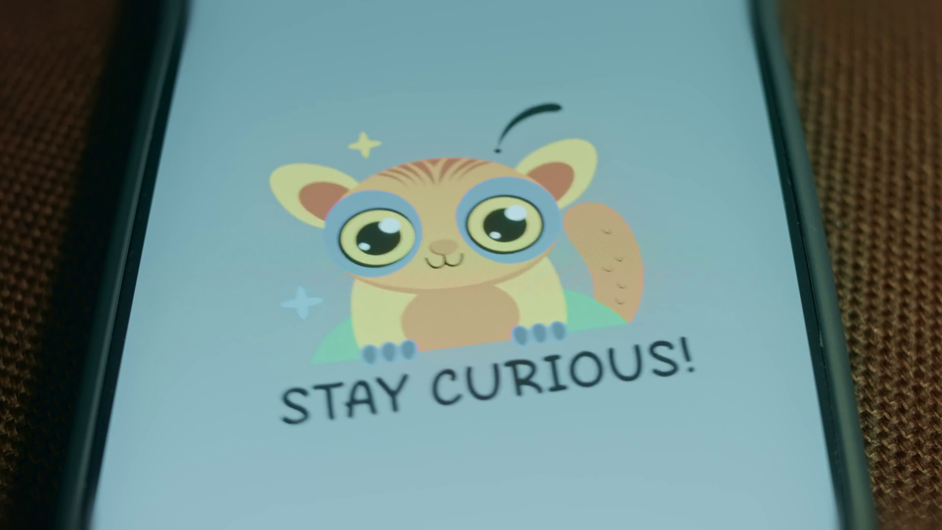 Stay Curious Lettering Text Cute Animal With Stock Footage SBV ...