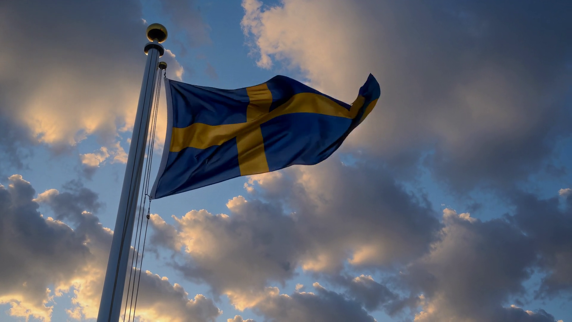 Witness Breathtaking Swedish Flag Gracefully Stock Footage SBV ...