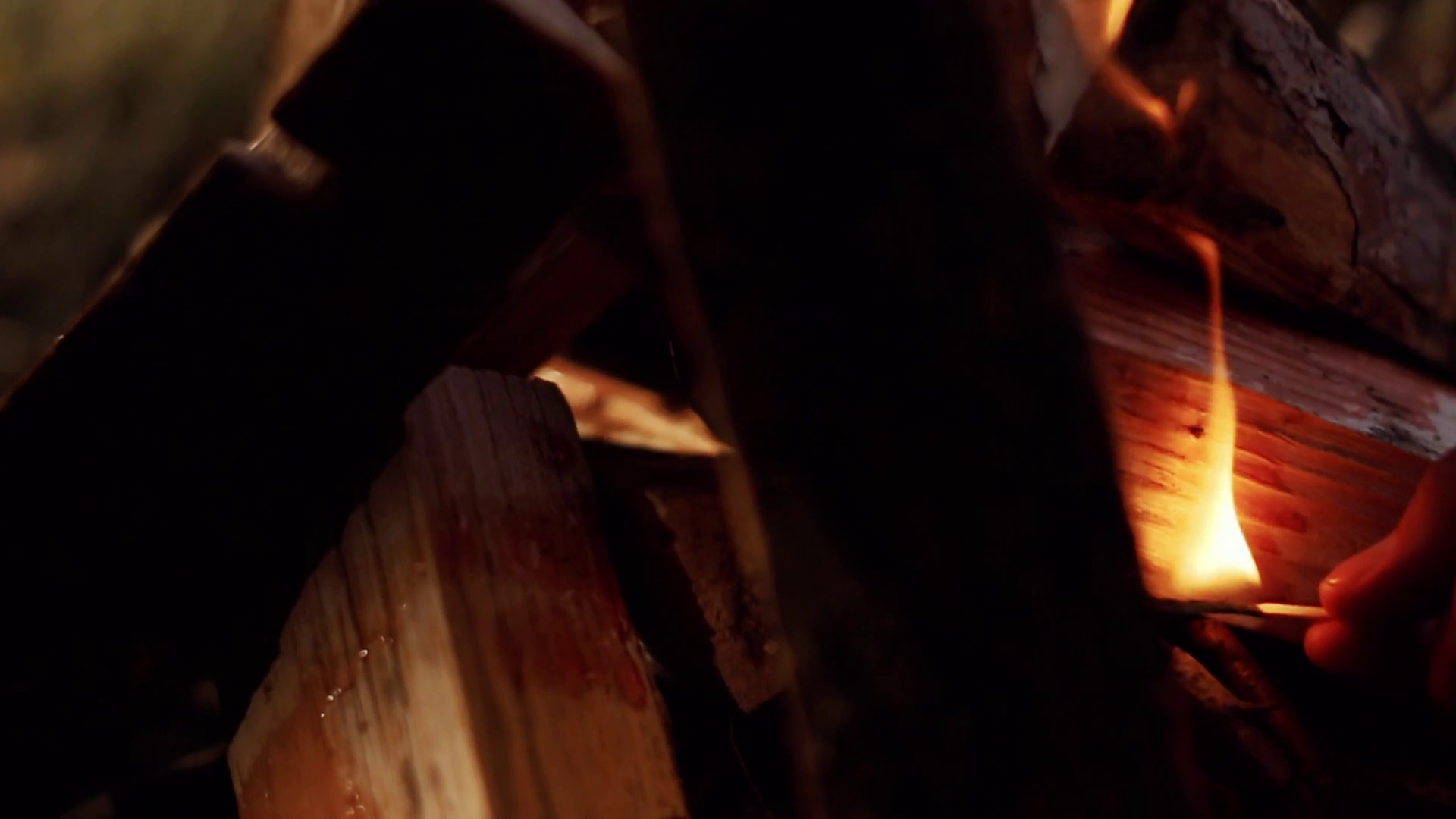 Close-up Kindling Fire Man Sets Fire To Wood Stock Footage SBV ...