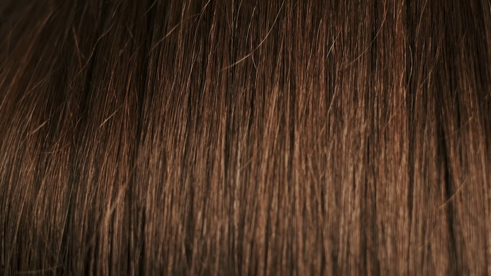 Perfect Hair Style Macro View Portrait Stock Motion Graphics SBV ...