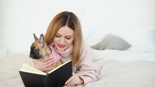 Blonde | Animals stock footage - Storyblocks