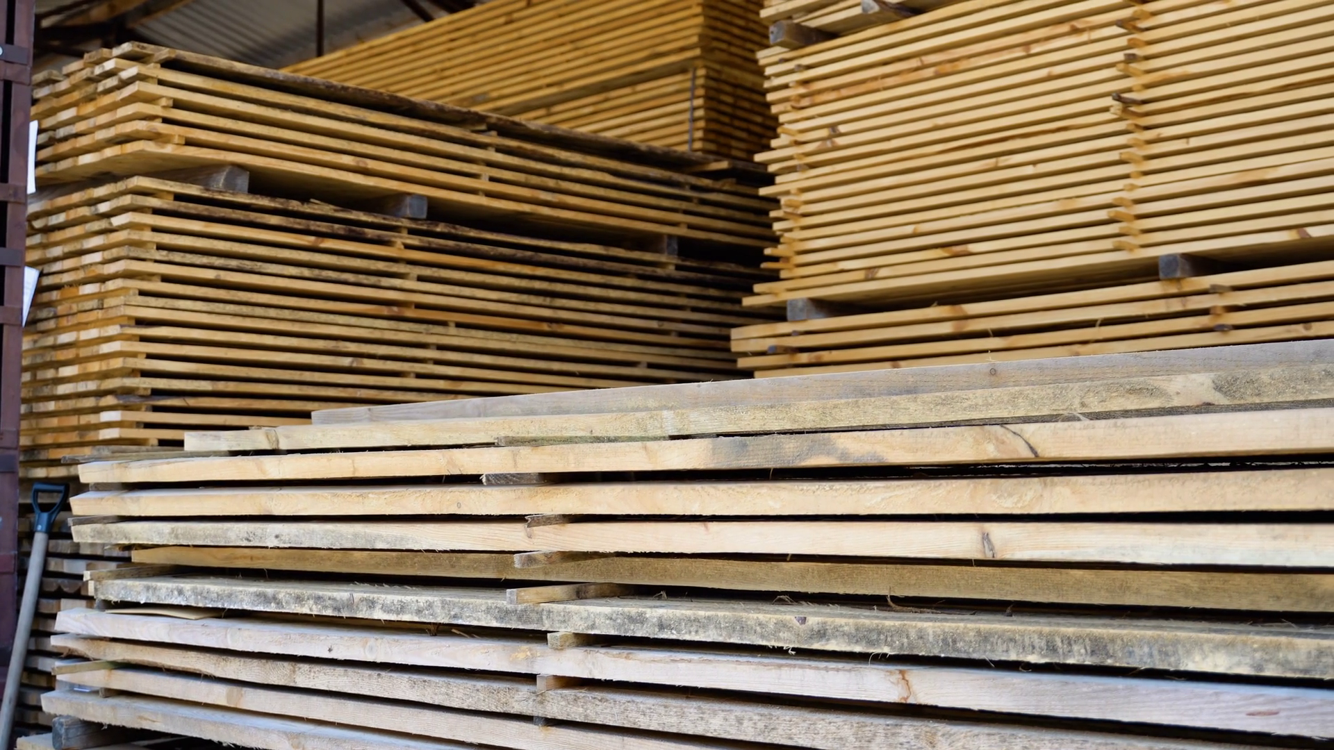 Wood Factory Stock Lumber Board With Nature Stock Footage SBV-352774568 ...