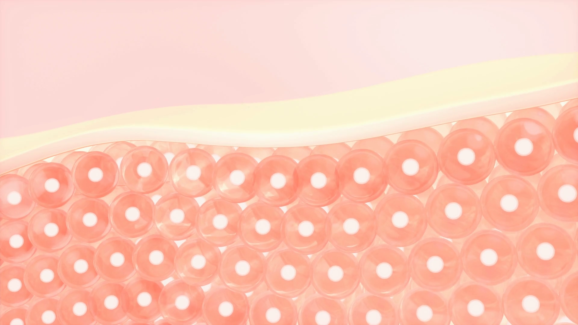 Cells Skin 3d Rendering Stock Motion Graphics SBV-347330961 - Storyblocks