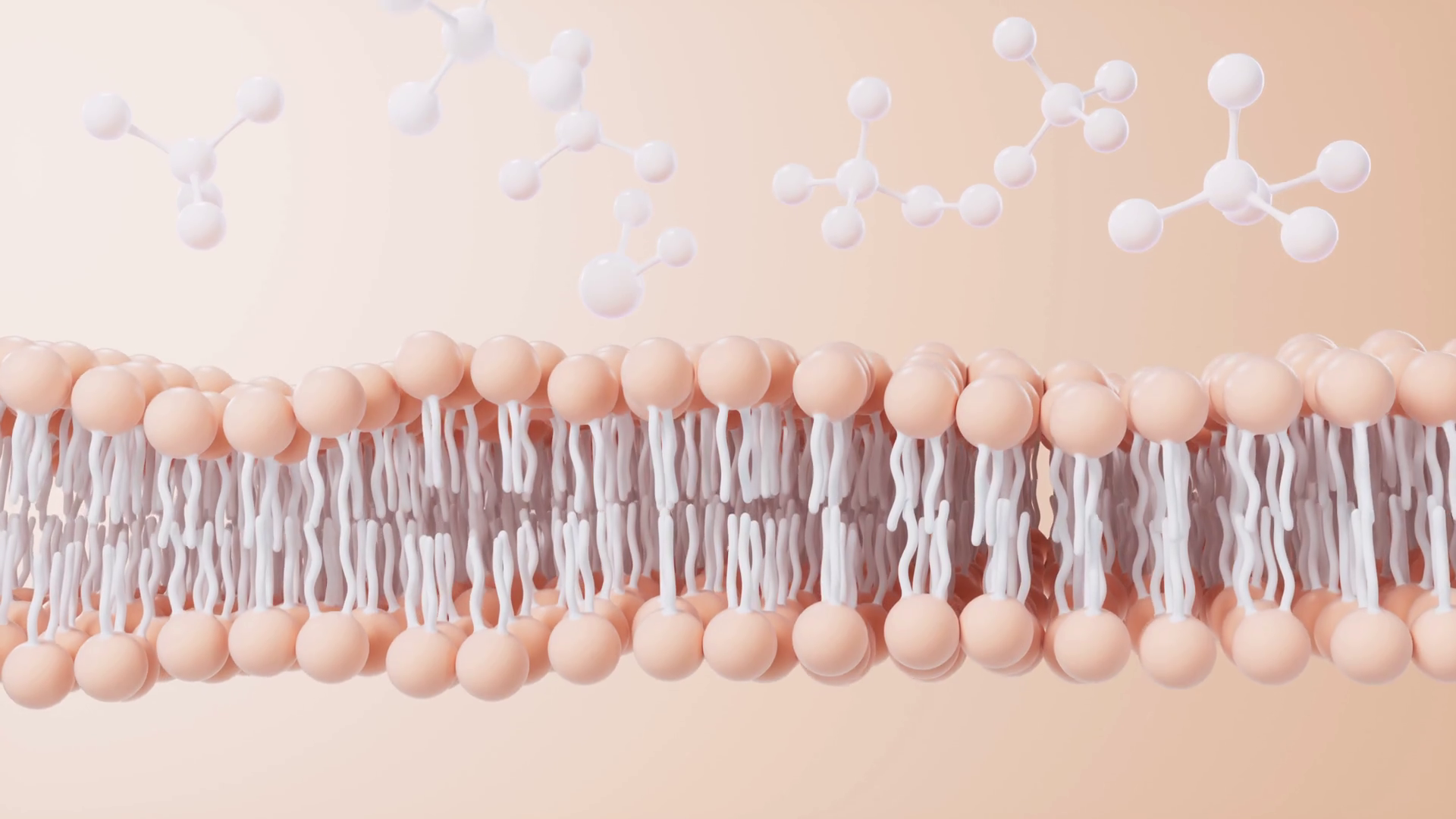 Cell Membrane Structure Background 3d Stock Motion Graphics SBV ...