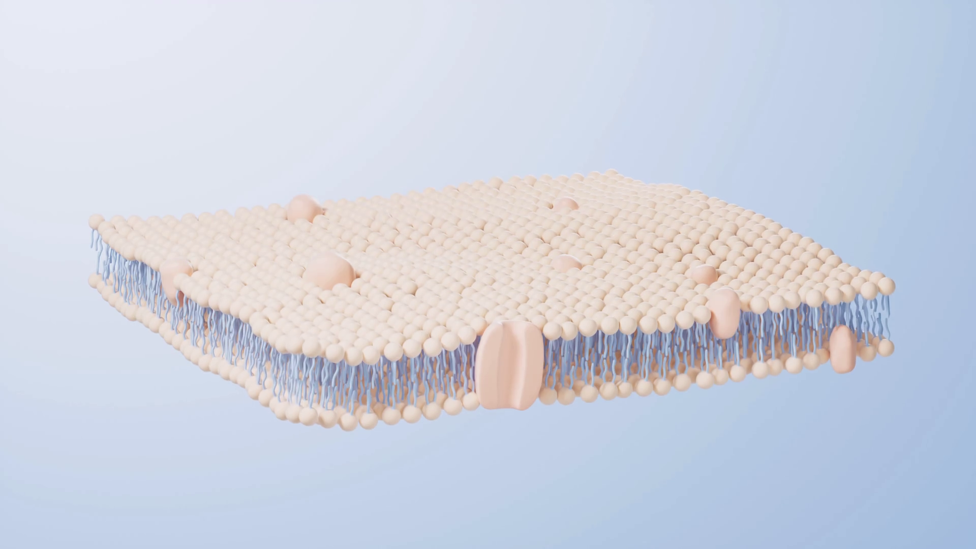 Cell Membrane Structure Background 3d Stock Motion Graphics SBV-348428510 - Storyblocks