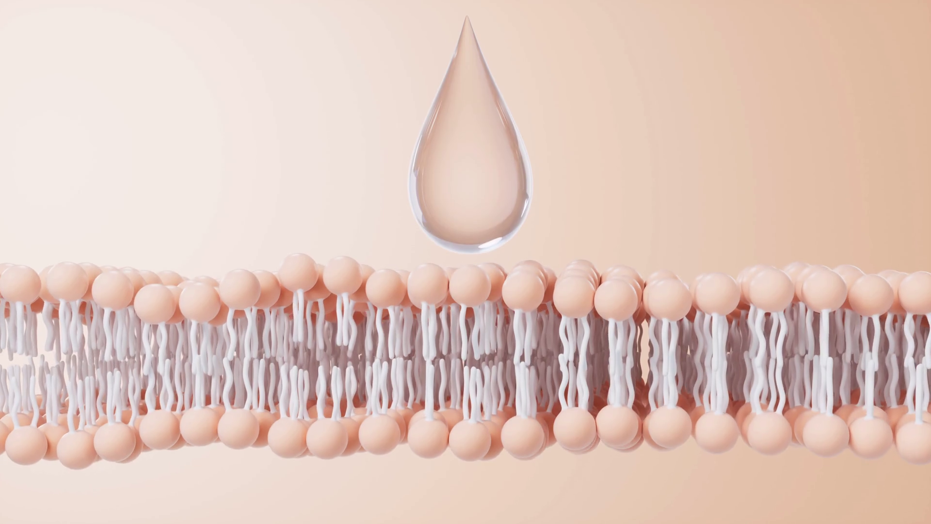 Cell Membrane Structure Background 3d Stock Motion Graphics SBV ...