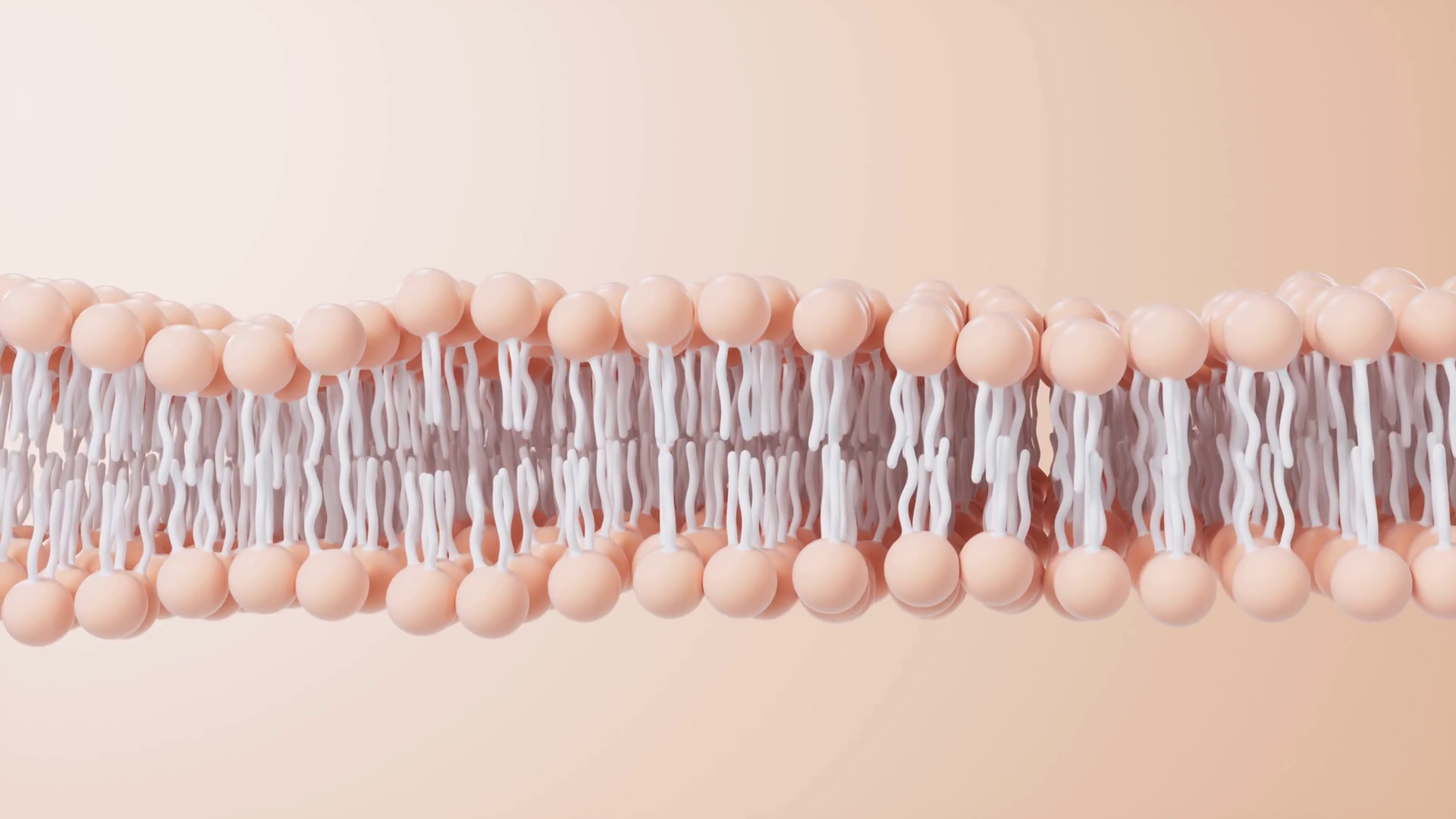 Cell Membrane Structure Background 3d Stock Motion Graphics SBV ...