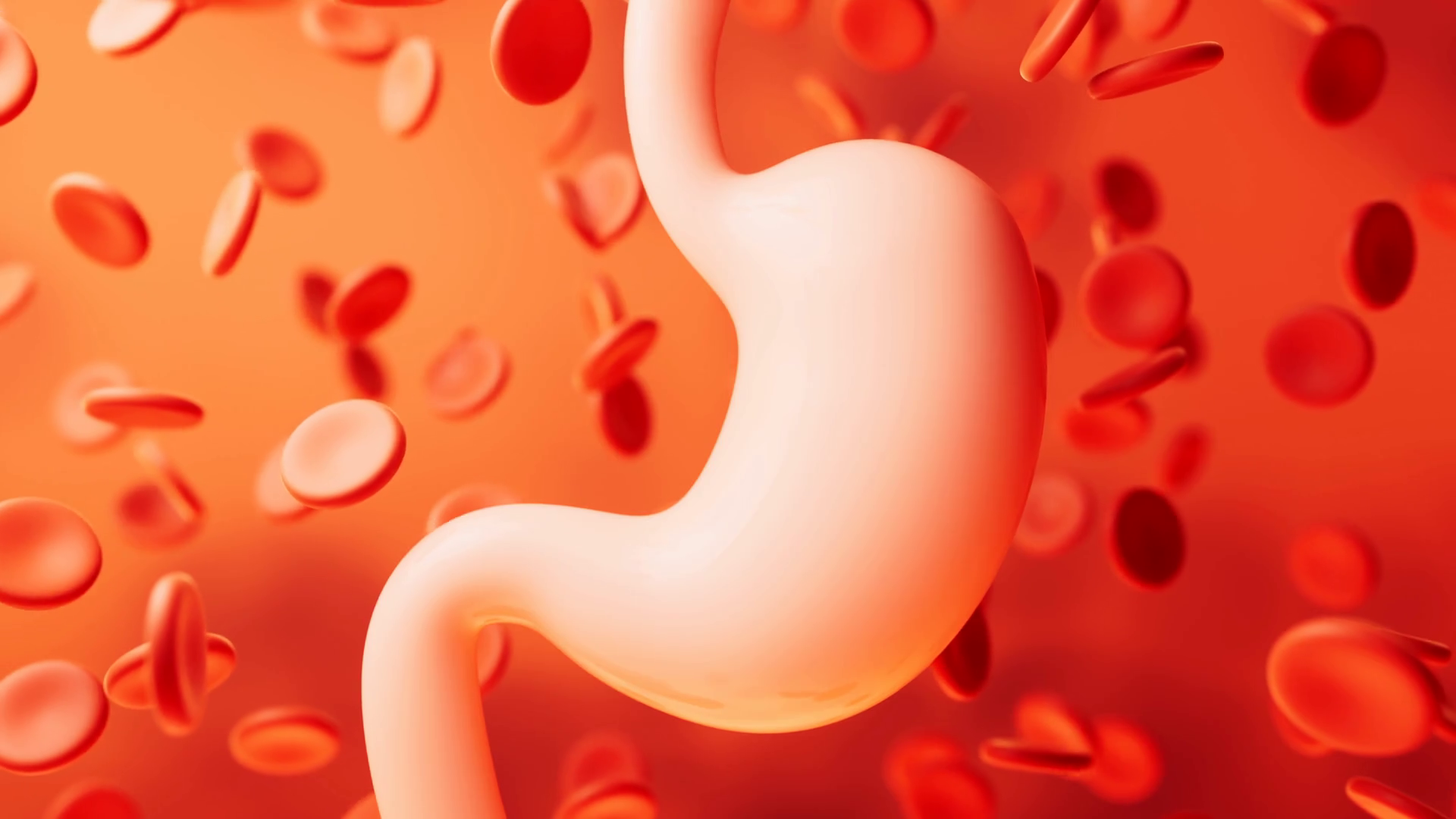Human Stomach Blood Background 3d Rendering Stock Motion Graphics SBV ...