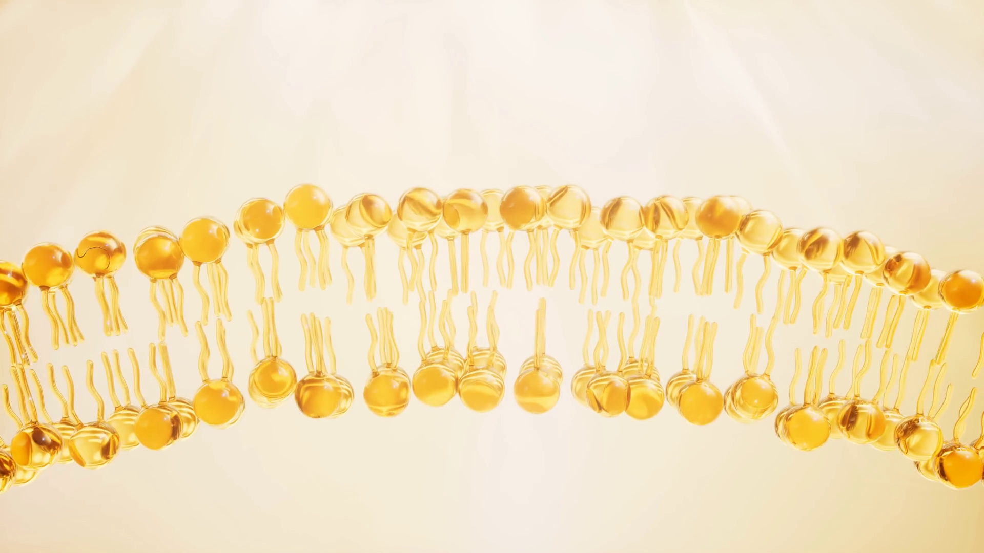 Transparent Membrane Structure 3d Rendering Stock Motion Graphics SBV-348781290 - Storyblocks