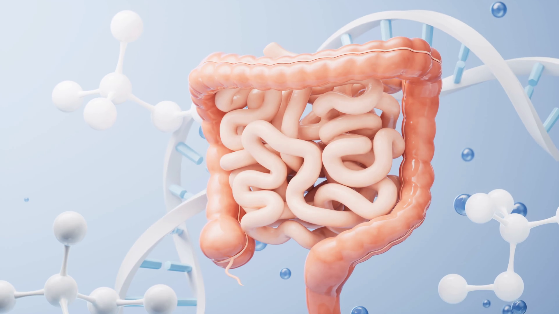 Intestinal Tract With Digestive Health Stock Motion Graphics SBV ...