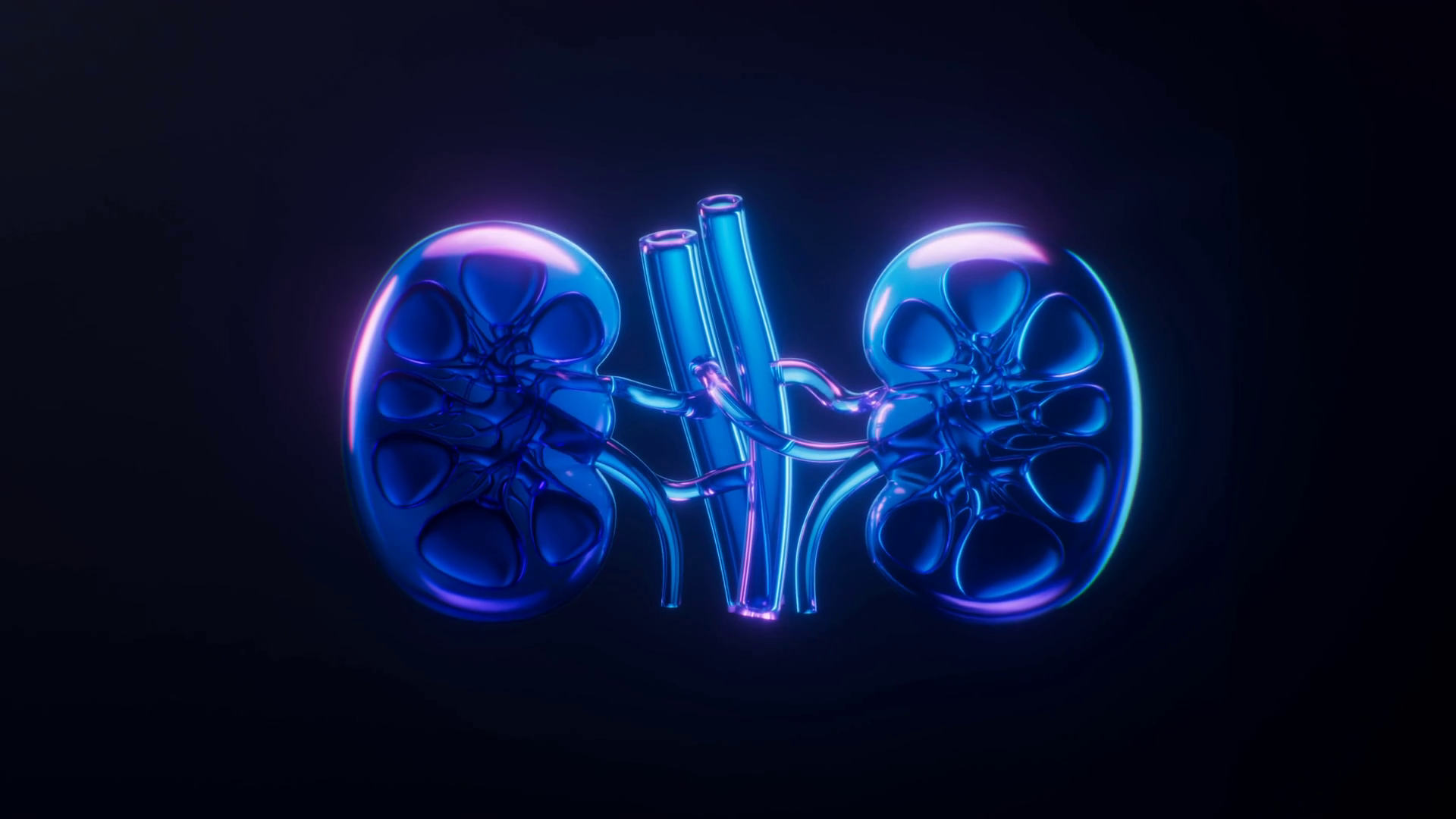 Loop Animation Of Kidney With Dark Neon Stock Motion Graphics SBV ...