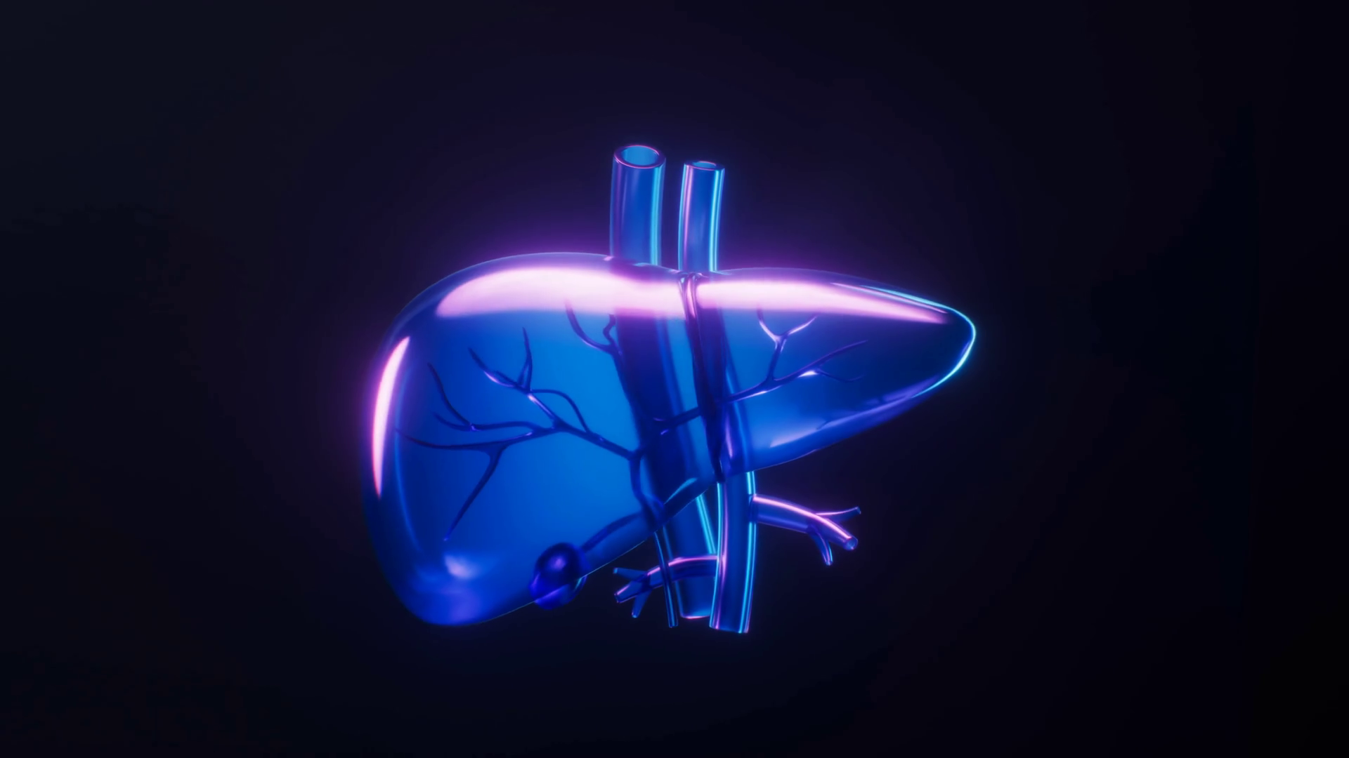Loop Animation Of Liver With Dark Neon Light Stock Motion Graphics SBV ...